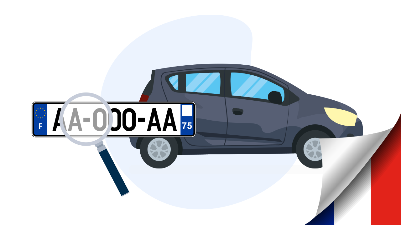 French License Plate Verification via API